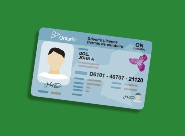 How to Get a New Driving License in Ontario: A Complete Guide - Lookipedia